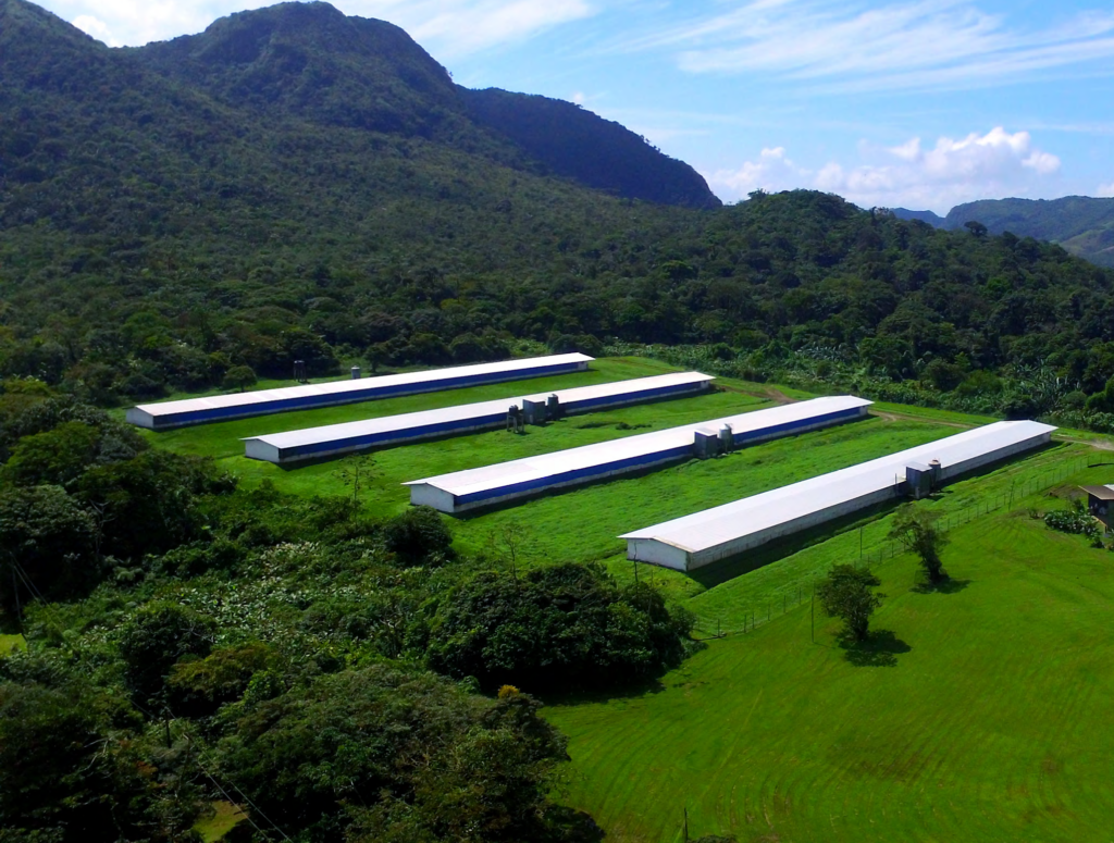 Vaccination services - USA